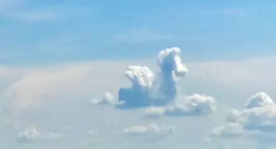 Capture – Diana Lynn Mayorga